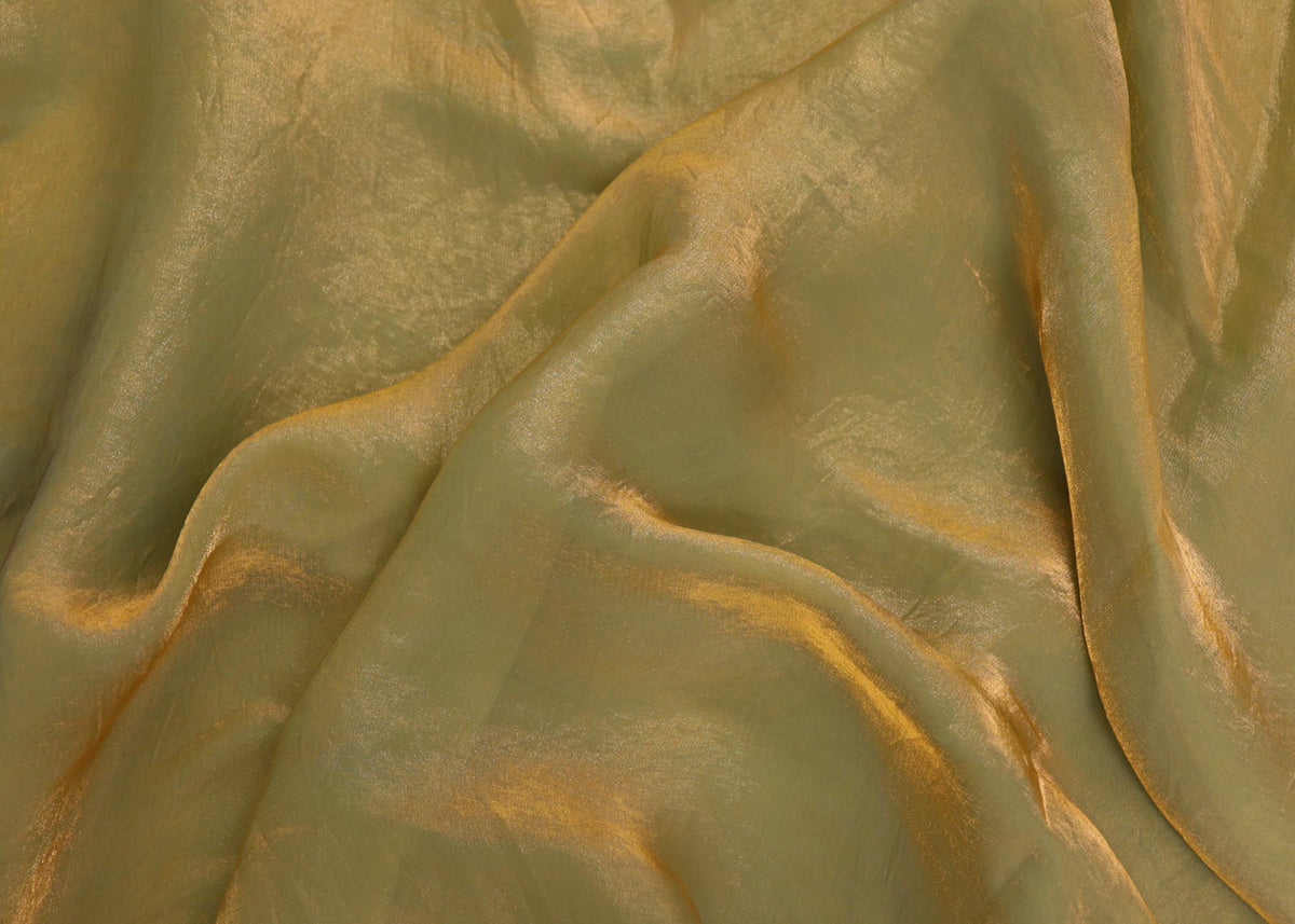 Diamond Tissue Fabric Online | Paras Gallery Fabrics